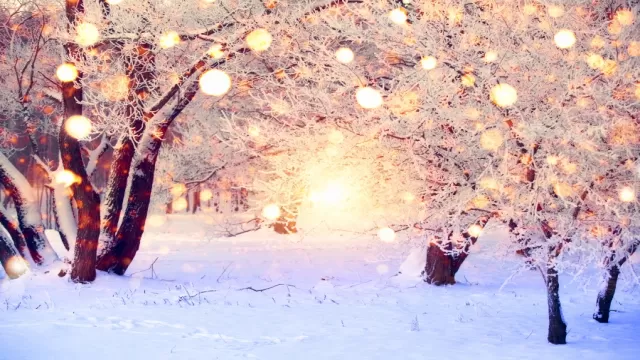 Best Less Crowded Places in India for Christmas and New Year