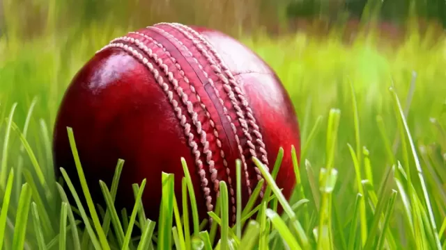 How Cricket Ball Manufactured, what materials are used, watch the video