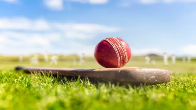 Top 10 Most Famous Cricketers in the World 2025