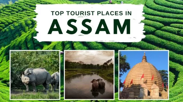 Top 10 Places to Visit in Assam in 2025