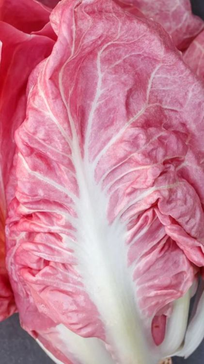 Most Expensive Vegetables In The World